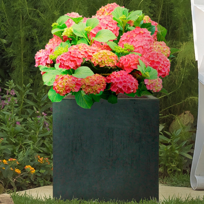 Rose planters: buy pots for roses online UK – IDEALIST