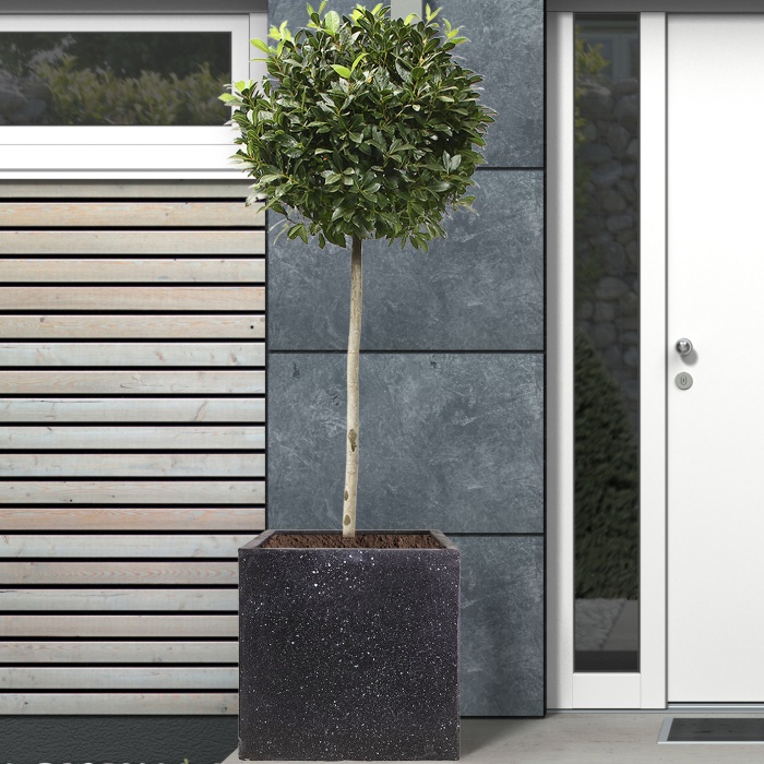 Square planters for garden: buy square flower pots online UK – IDEALIST