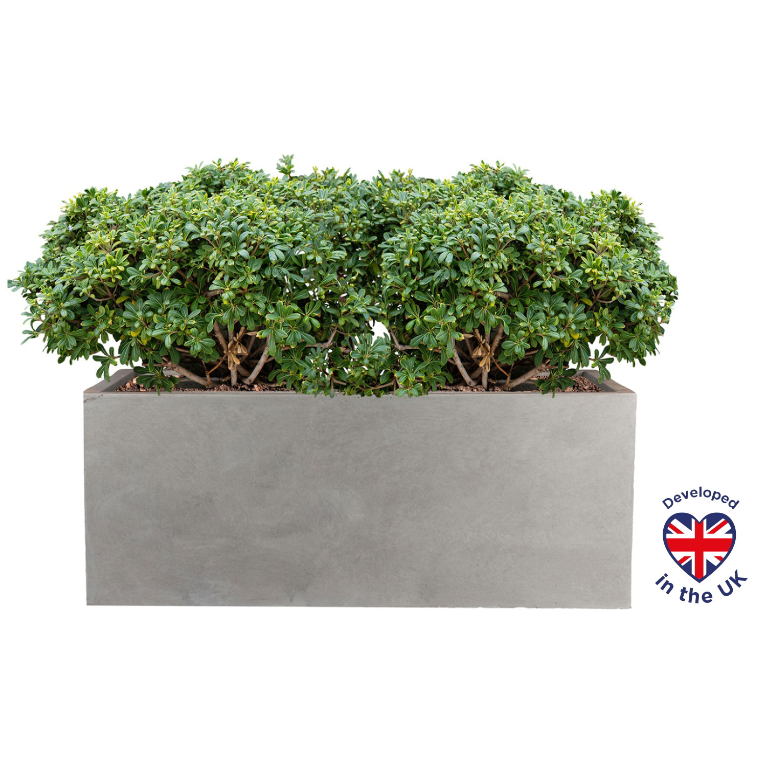 Faux Lead Chelsea Box Square Grey Light Stone Planter W30 H30 L30 cm ...