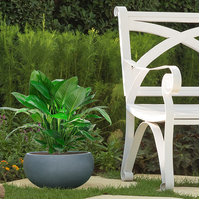 Classic Smooth Dark Grey Bowl Outdoor Garden Planter D44 H21 cm, 31.9 ...