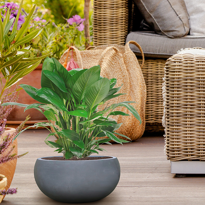 Classic Smooth Dark Grey Bowl Outdoor Planter D44 H21 cm, 31.9 ltrs Cap ...