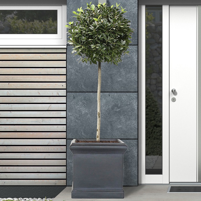 Square planters for garden: buy square flower pots online UK – IDEALIST