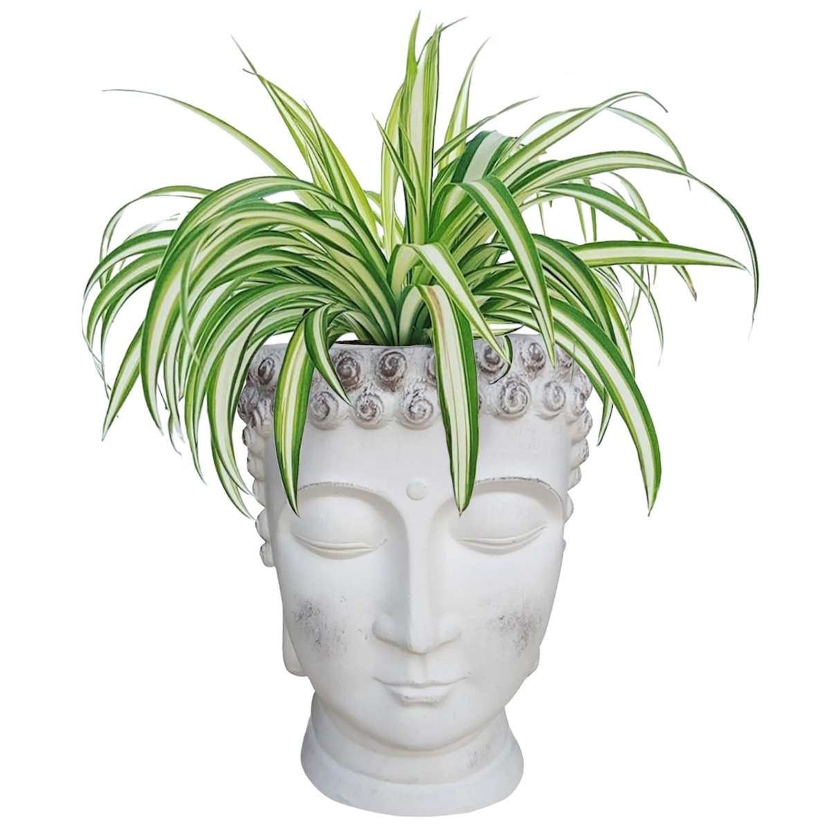 Face plant pots: buy head planters online UK – IDEALIST