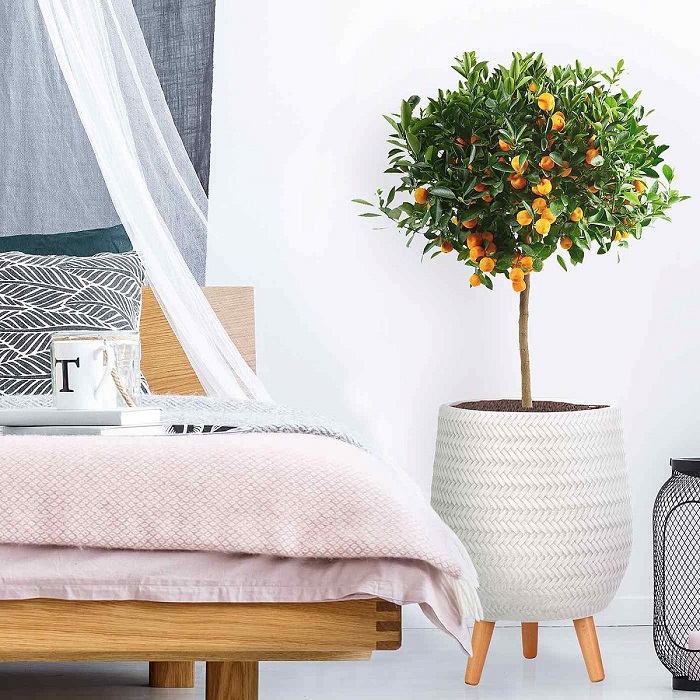 Floor planters indoor: buy floor standing plant pot online UK – IDEALIST